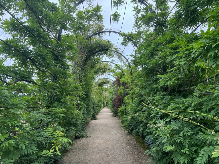 Trentham Gardens Visitor Guide – Rob on Holiday