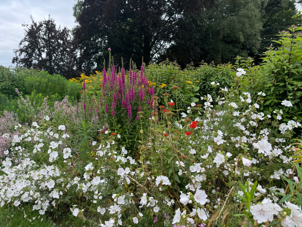 Trentham Gardens Visitor Guide – Rob on Holiday